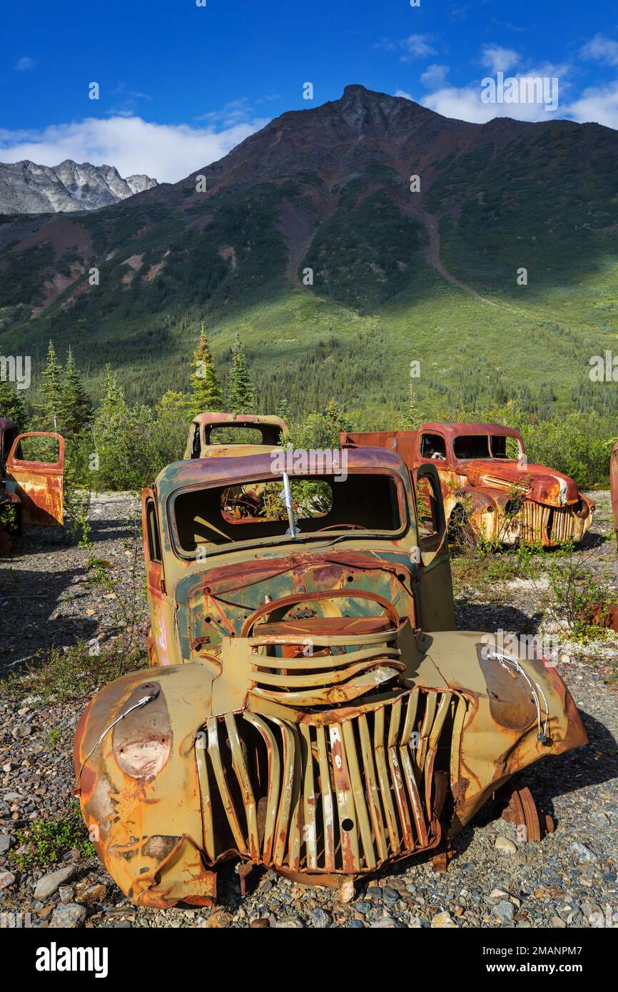 An array of abandoned rusty post war trucks that lay rusting away in ...