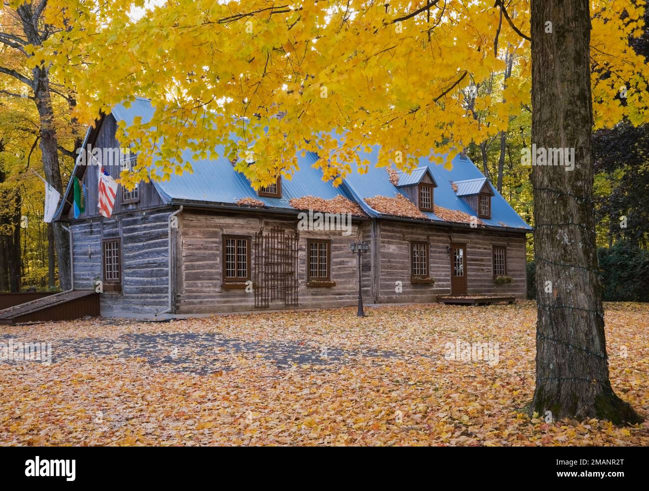 1980 reconstructed 1800s piece sur piece log home facade with blue ...