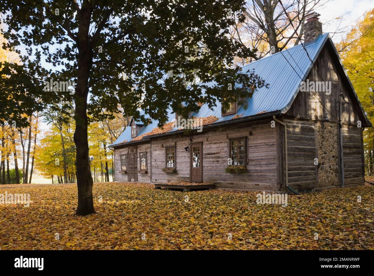 1980 reconstructed 1800s piece sur piece log home facade with blue ...