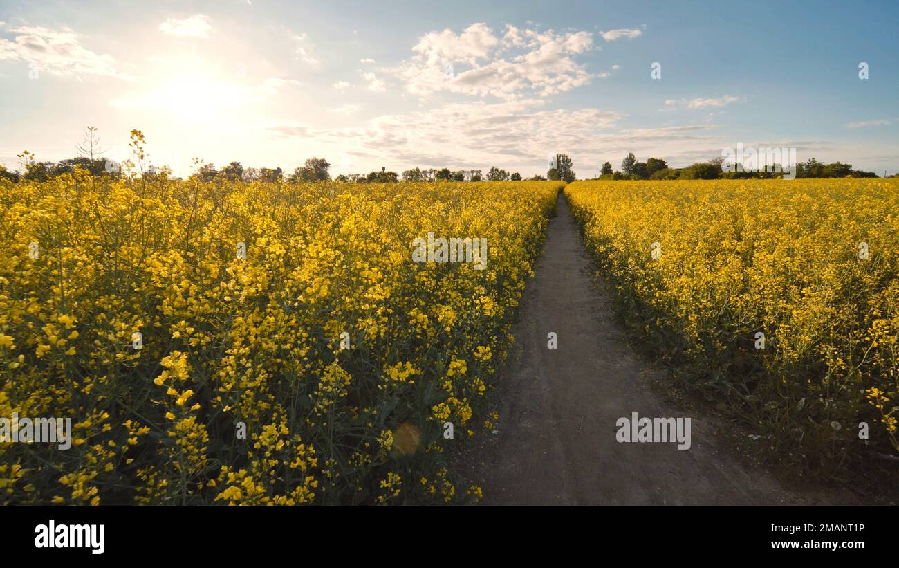 At fieldpath hi-res stock photography and images - Alamy
