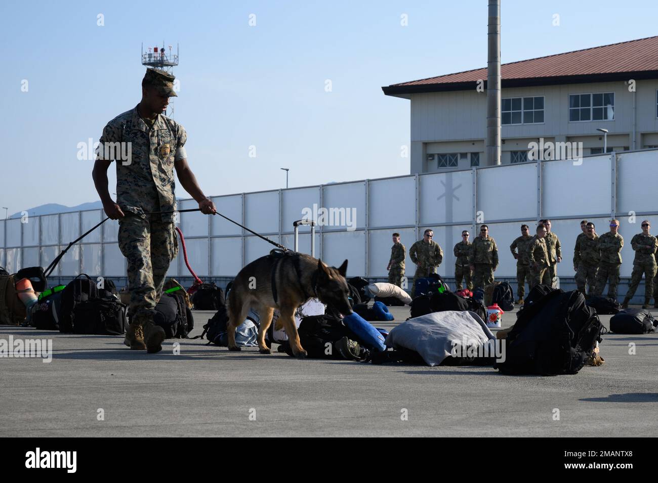 A U.S. Marine Corps military working dog handler assigned to the ...