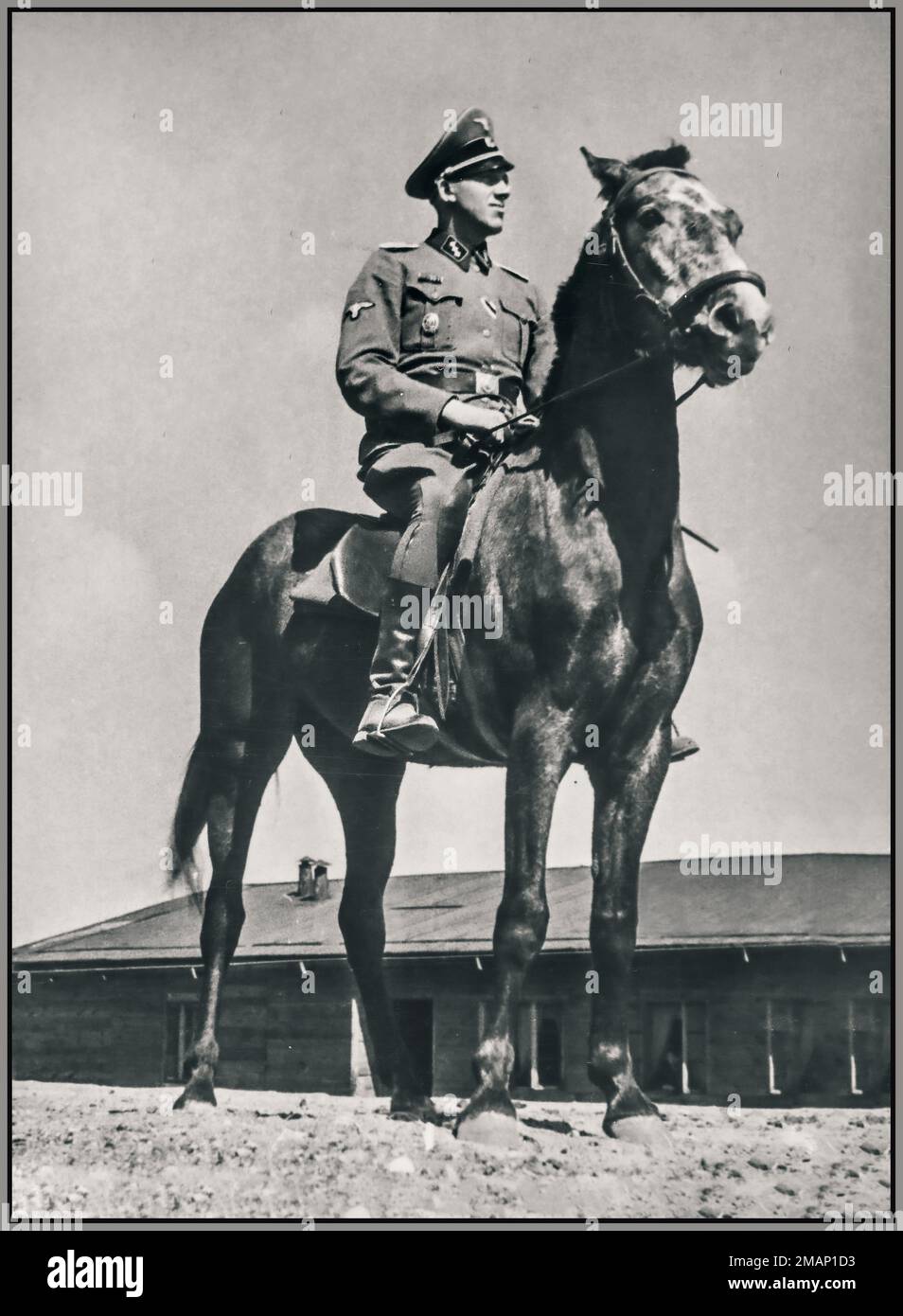 Nazi ss johann niemann posing on his horse hi-res stock photography and ...