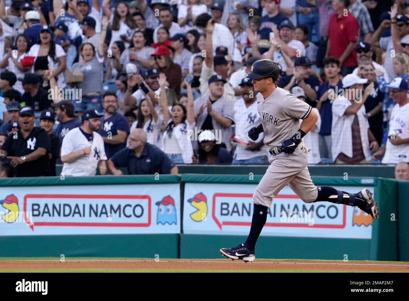 New York Yankees' Andrew Benintendi rounds first after hitting a solo ...