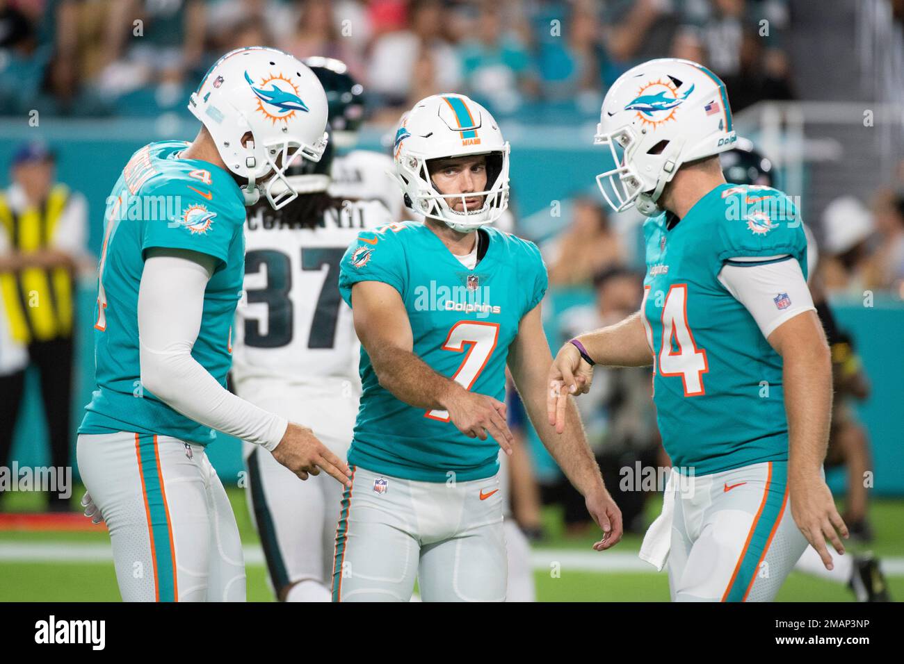 Miami Dolphins punter Thomas Morstead (4), Miami Dolphins long snapper ...