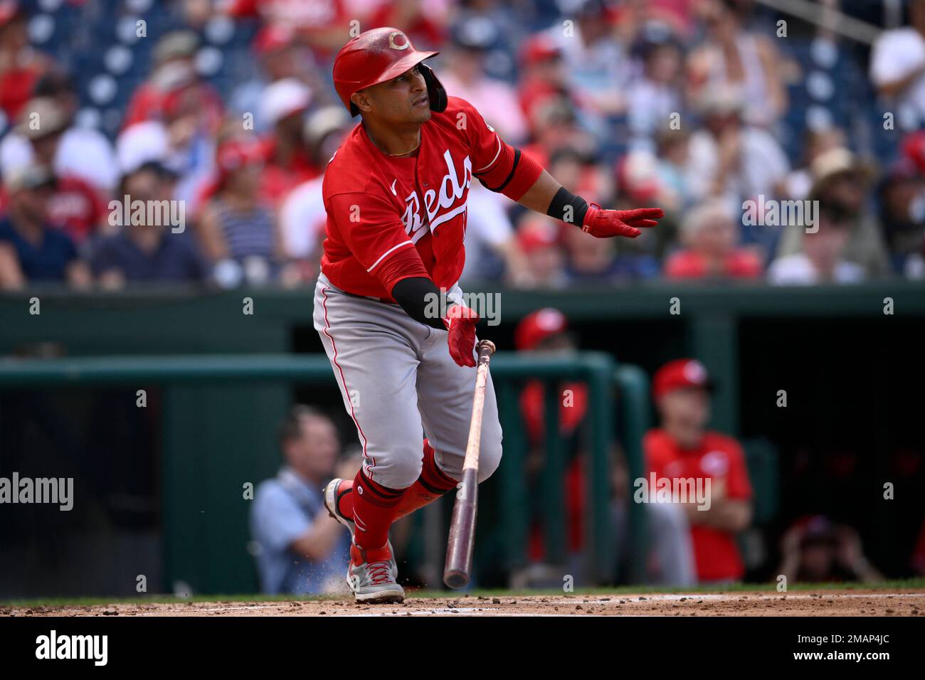 Cincinnati Reds' Donovan Solano in action during a baseball game ...