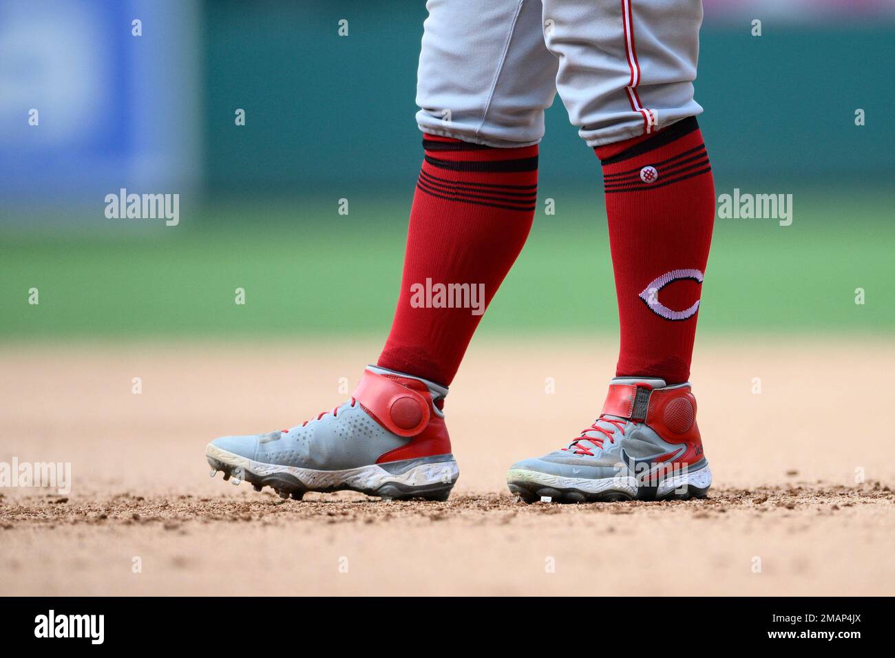 Cincinnati Reds' Donovan Solano stands on the field during a baseball ...