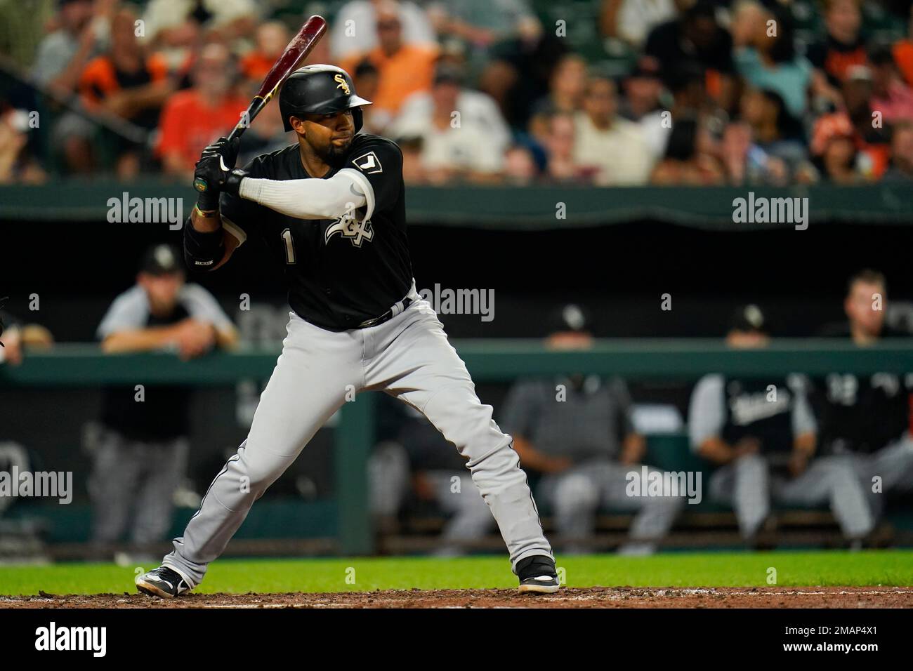 Chicago White Sox's Elvis Andrus during an at bat against the Baltimore ...