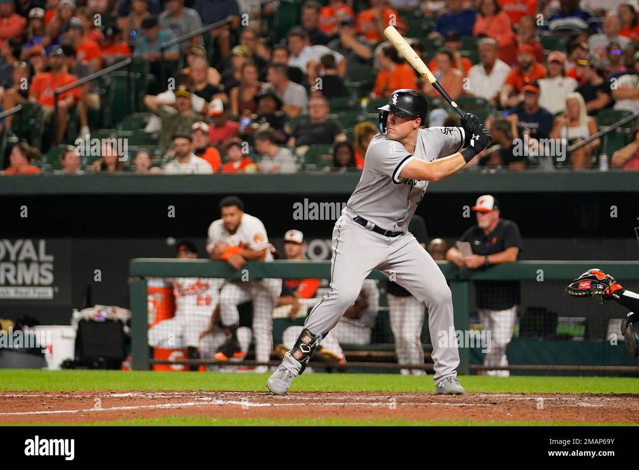 Chicago White Sox's Gavin Sheets waits for a pitch from the Baltimore ...