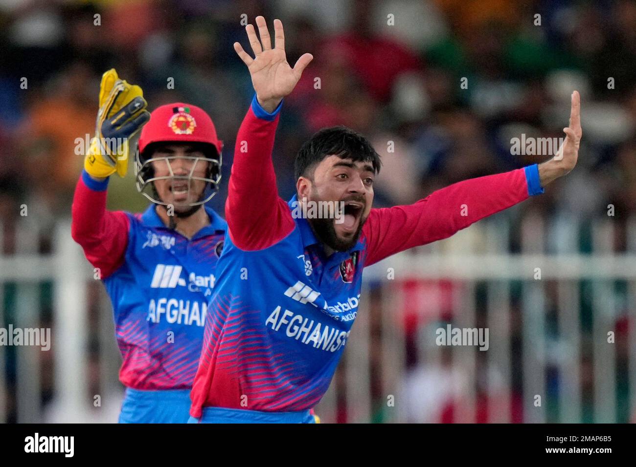 Afghanistan's Rashid Khan, appeals successfully LBW out of Bangladesh's ...