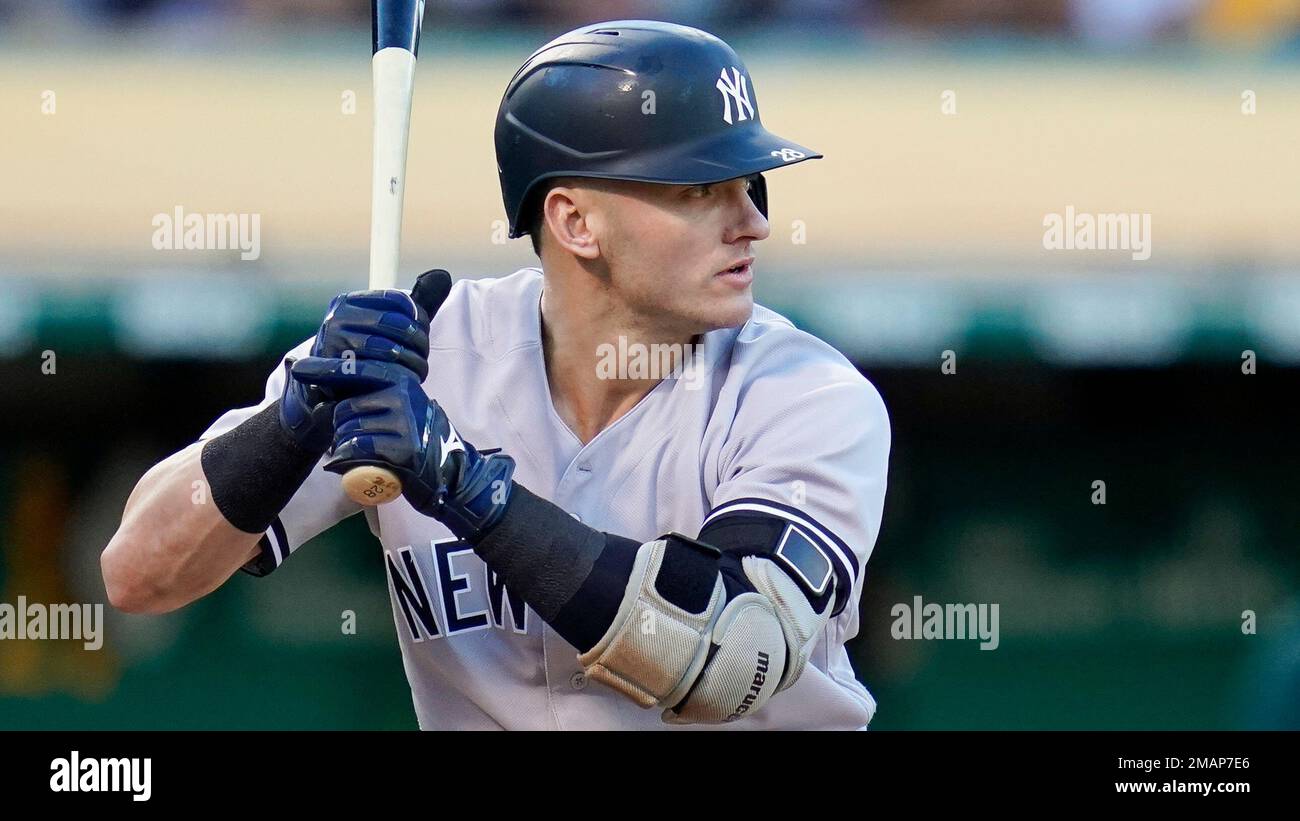 New York Yankees' Josh Donaldson waits for a pitch while batting ...