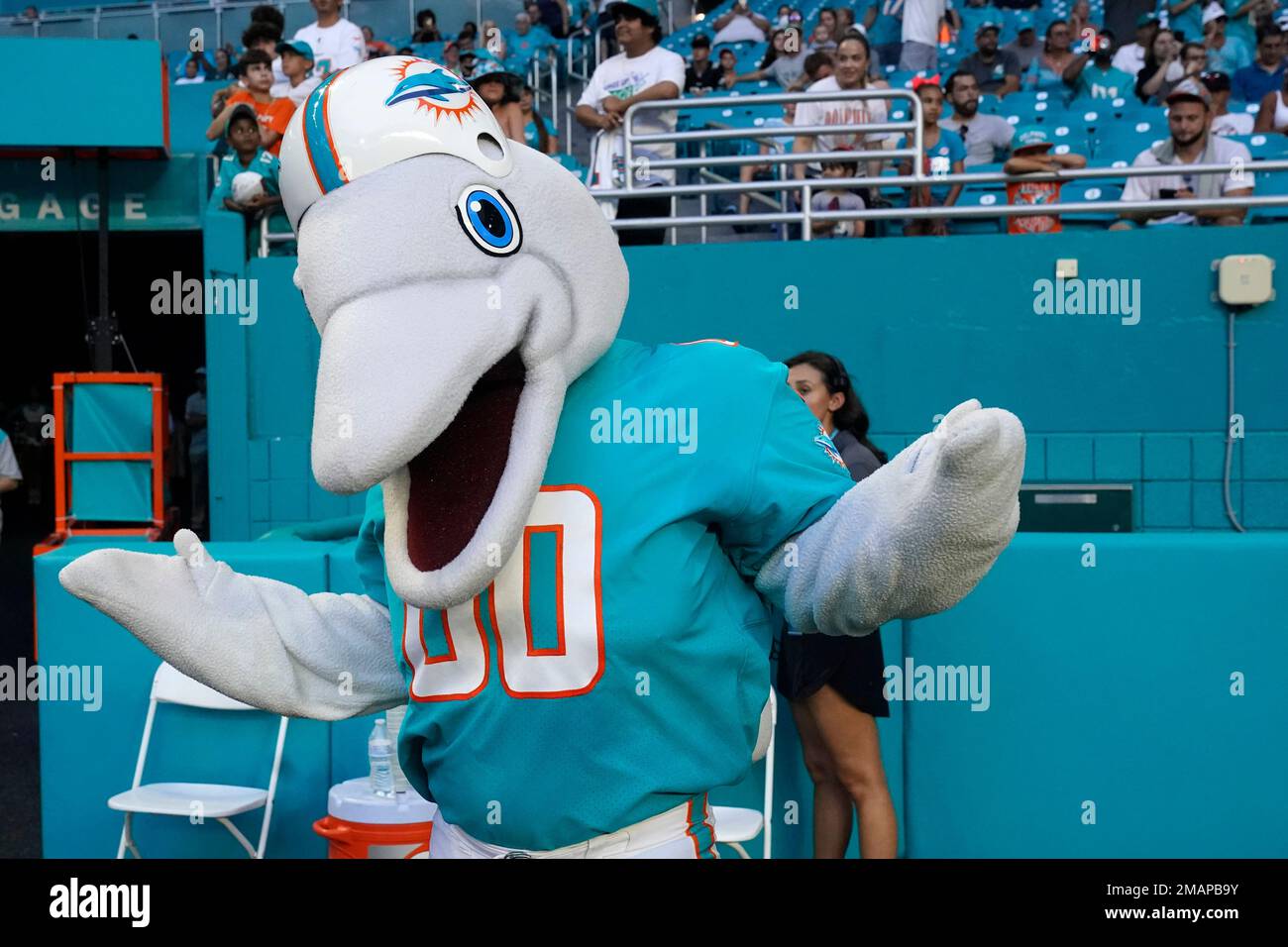 Miami Dolphins mascot T.D. is shown before the start of a NFL preseason ...