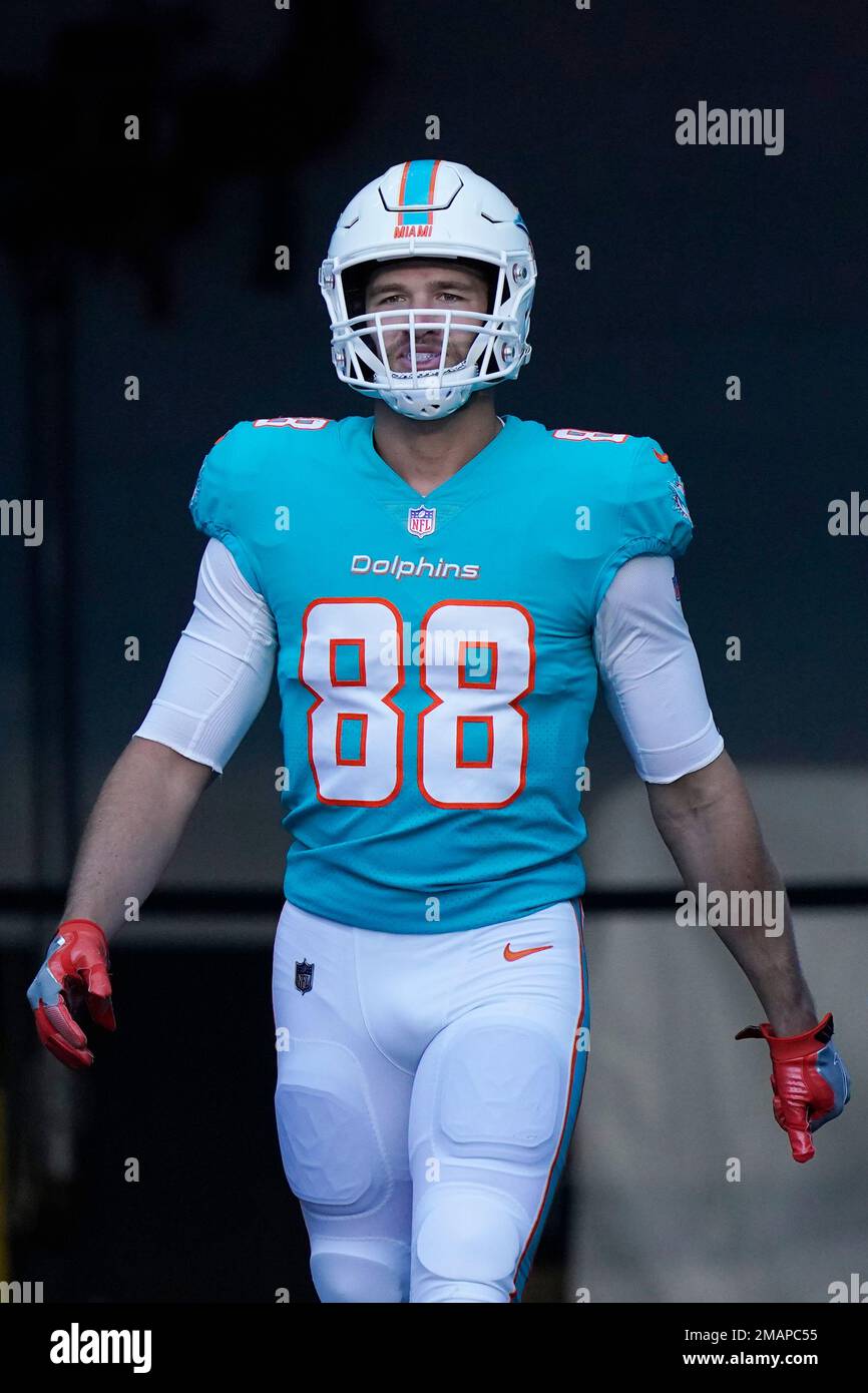 Miami Dolphins tight end Mike Gesicki enters the field before a NFL preseason football game ...