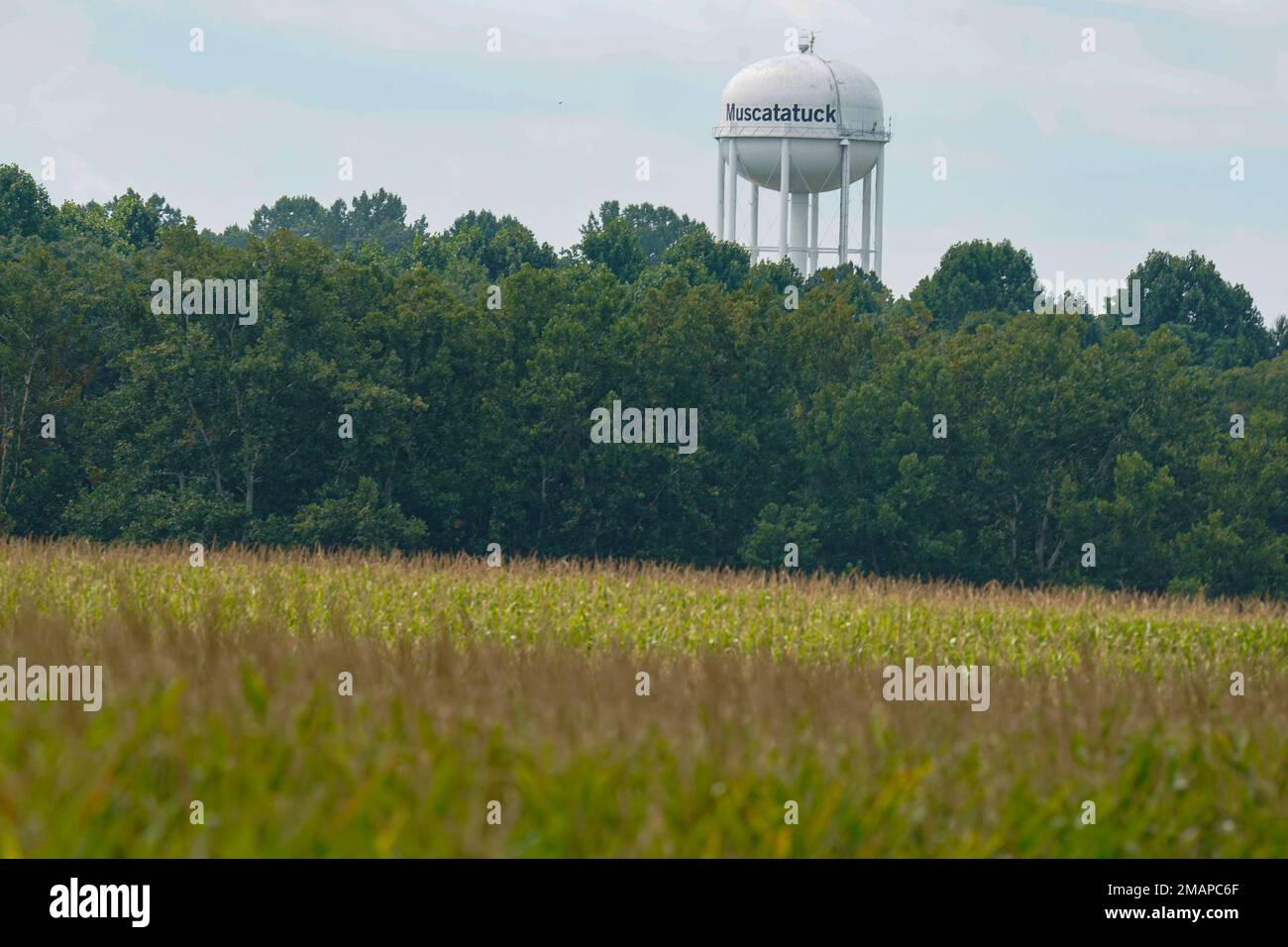 The water tower at the Muscatatuck Urban Training Center, surrounded by ...
