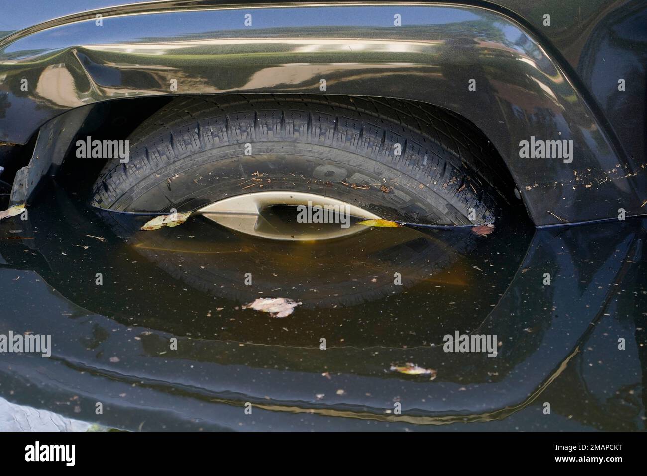 Debris gathered on this tire indicates the level of flooding in this ...