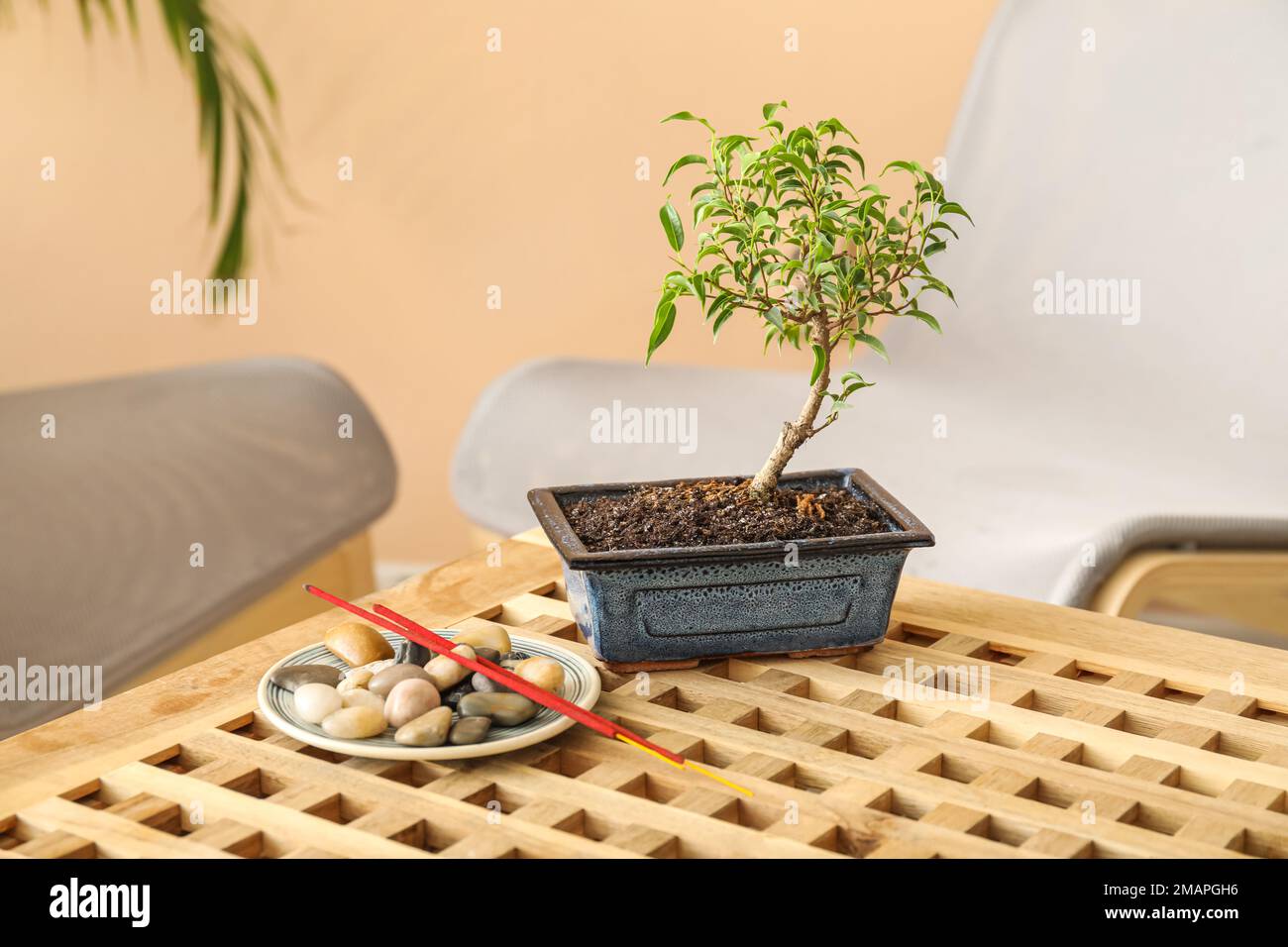 Bonsai tree, plate with pebbles and chopsticks on table in living room ...