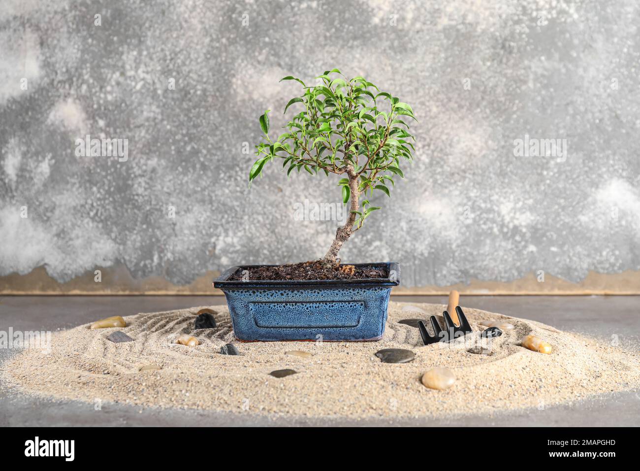 Bonsai tree with pebbles, rake and sand on grunge background Stock ...