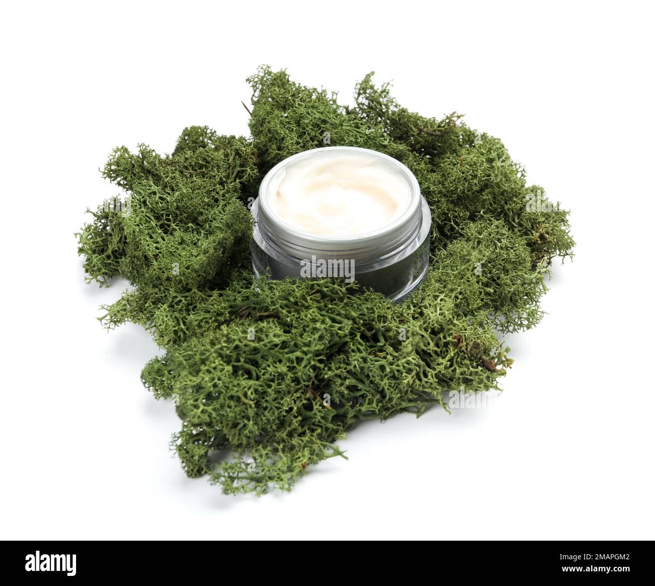 Jar of cream with green moss on white background Stock Photo - Alamy