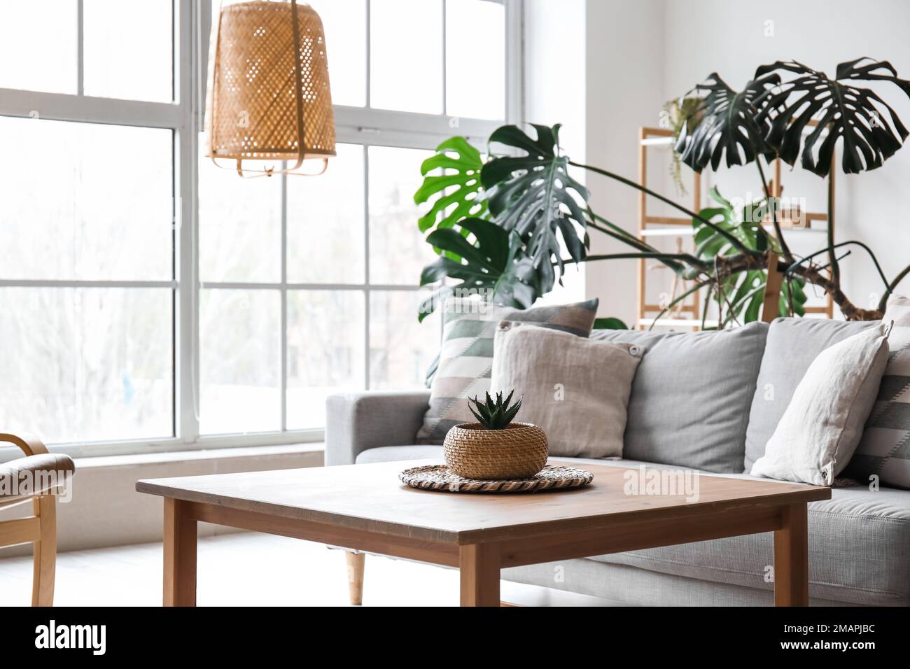 Interior of modern living room with grey sofa, table and houseplants ...
