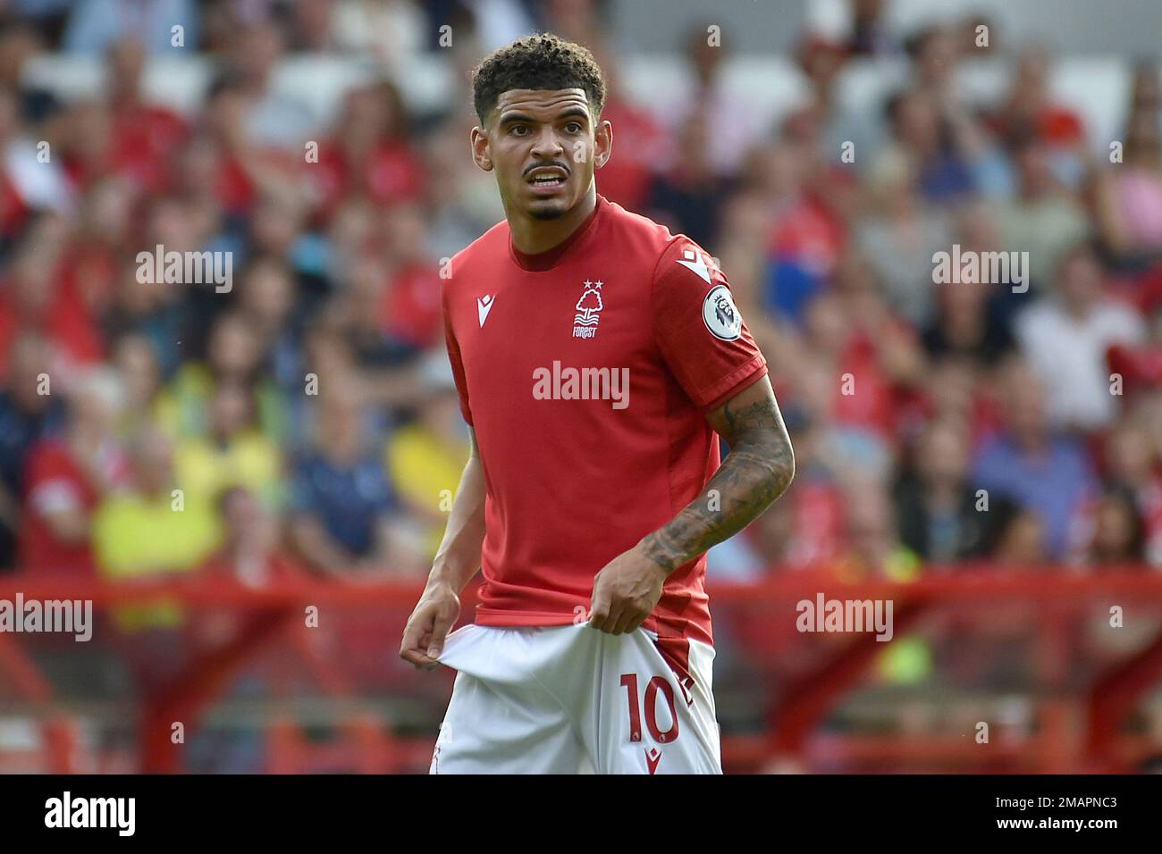 Nottingham Forest's Morgan Gibbs-White reacts during the English ...