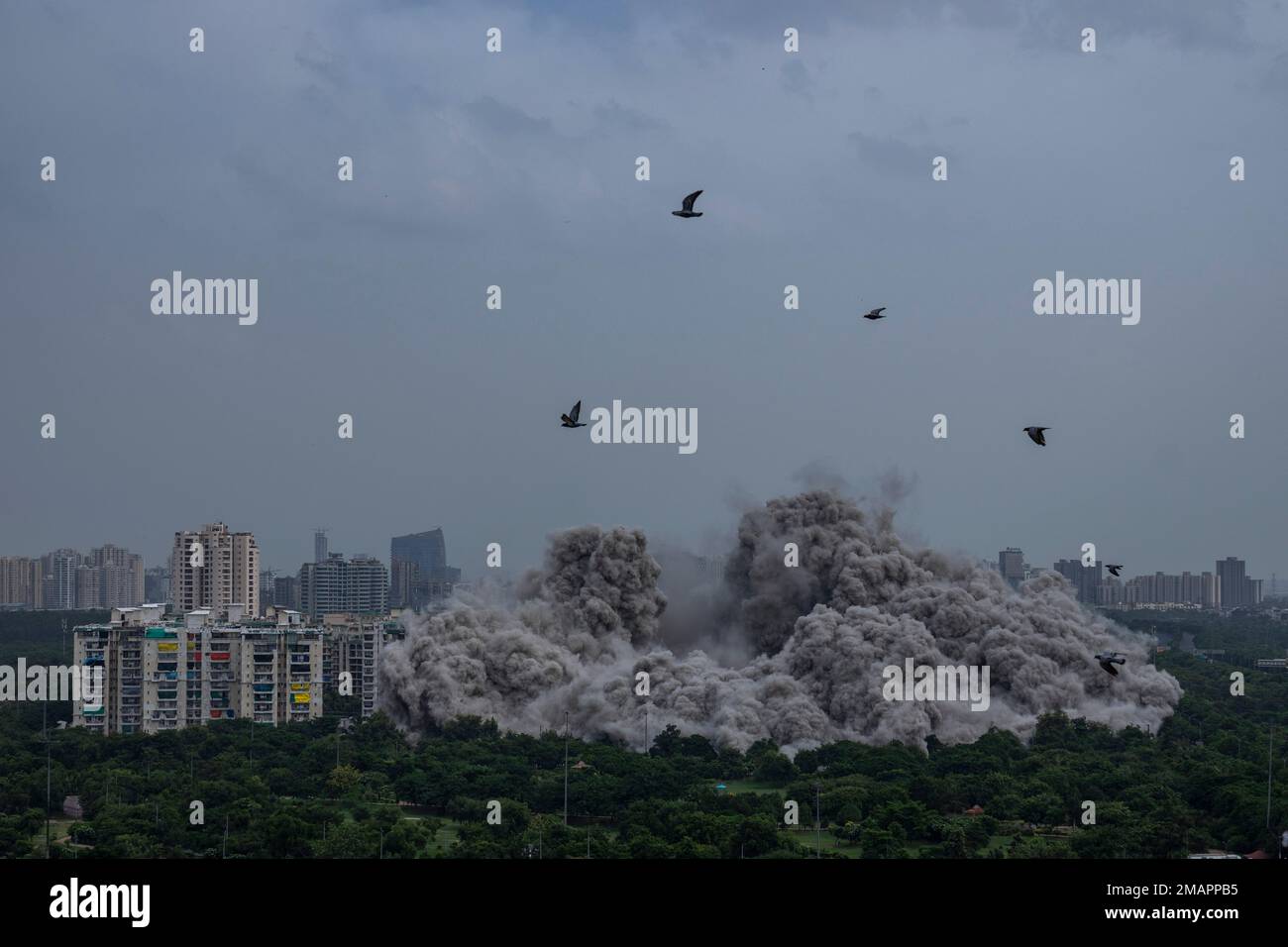 Cloud of dust rises as twin high-rise apartment towers are leveled to ...