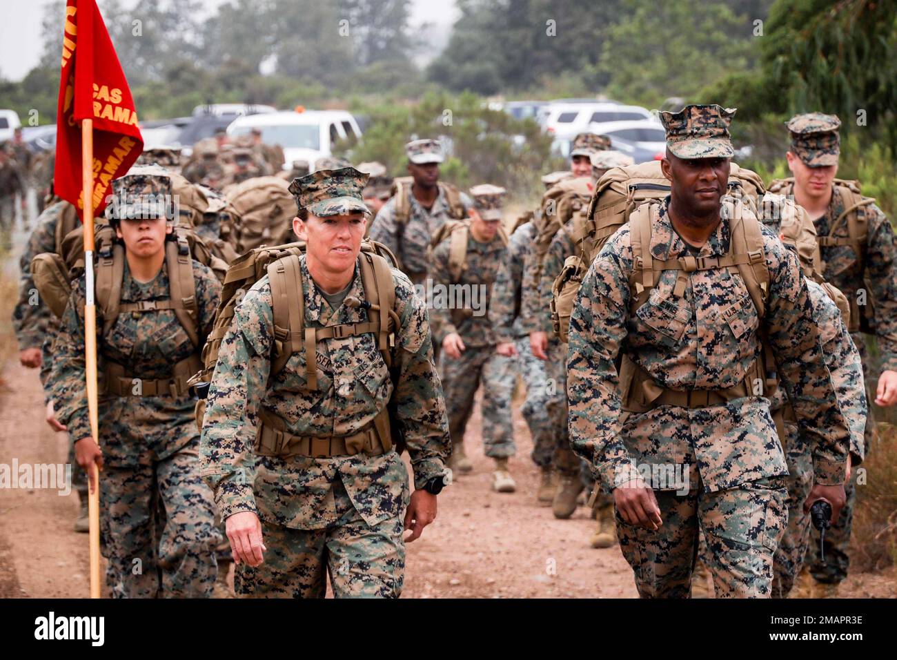 U.S. Marine Corps Lt. Col. Christine M. Houser, the commanding officer ...