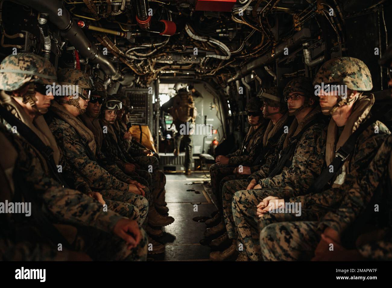 U.S. Marine Corps chemical, biological, radiological and nuclear (CBRN ...