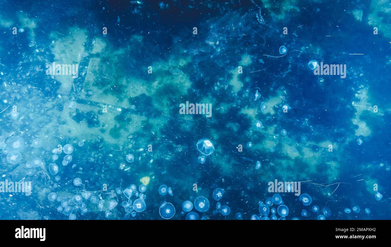 Aerial view of mucilage on the sea. Dirty sea with toxic poisonous ...