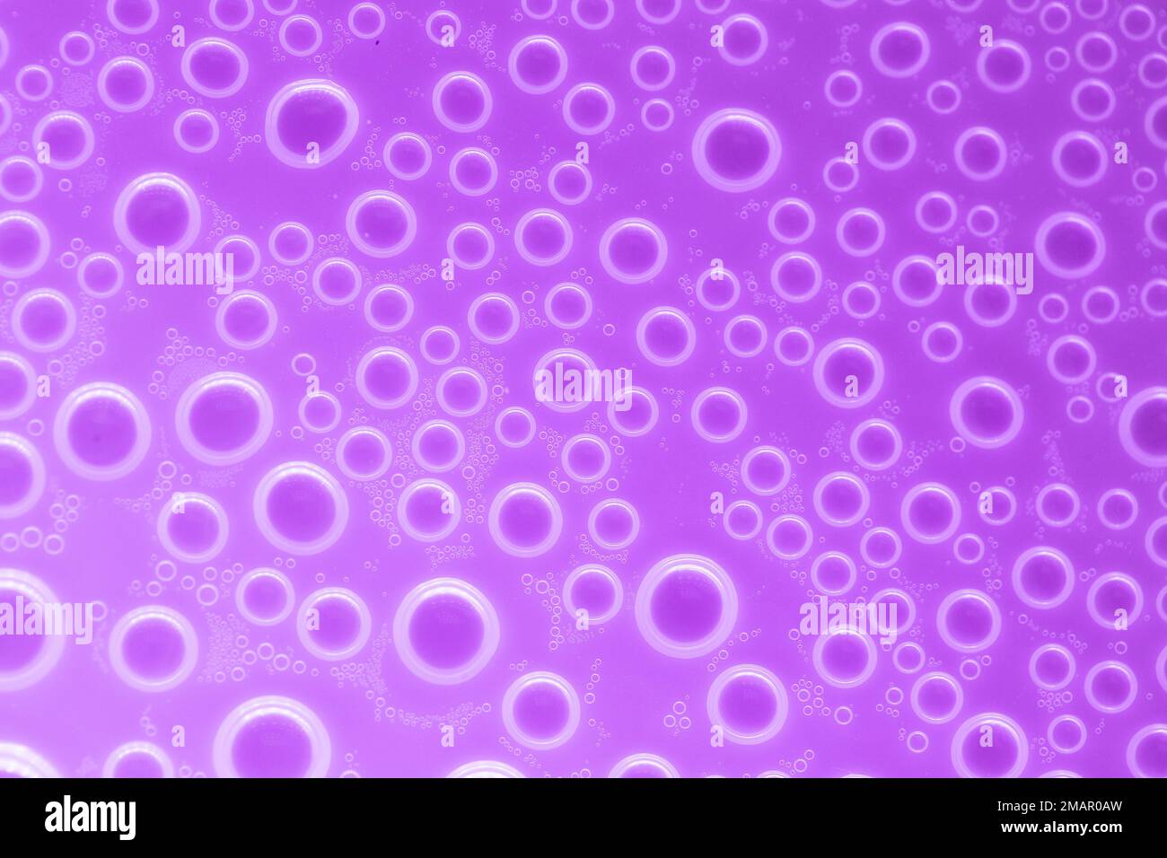 Bubbles purple background. round bubbles texture in lilac tones ...
