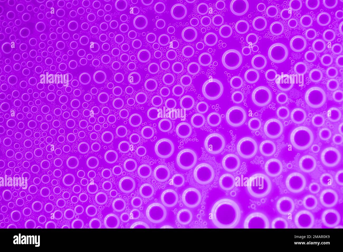 Bubbles purple background.Macro round bubbles texture in lilac tones ...