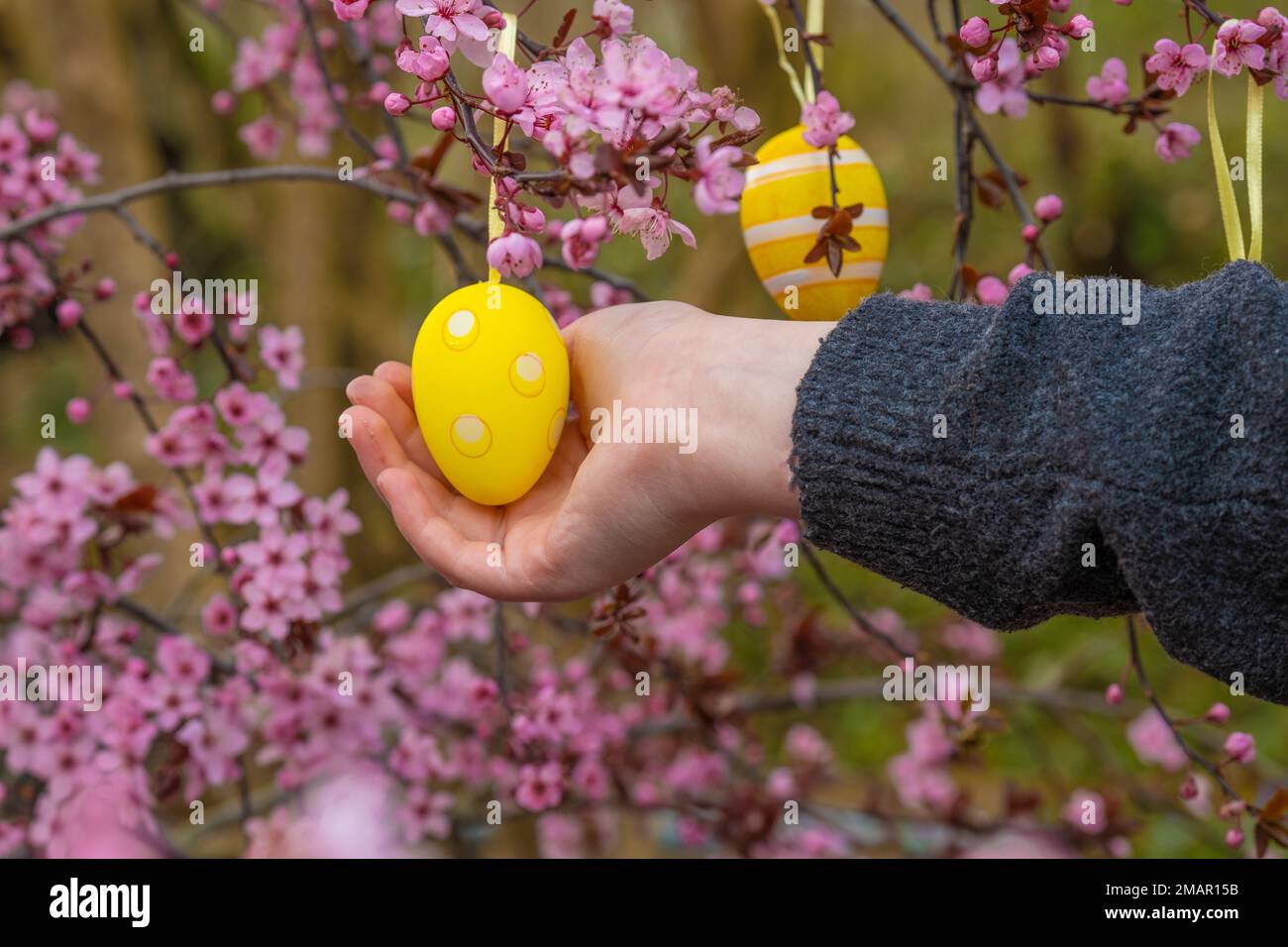 Easter tree. Easter street decoration.Childs hands dress decorative ...