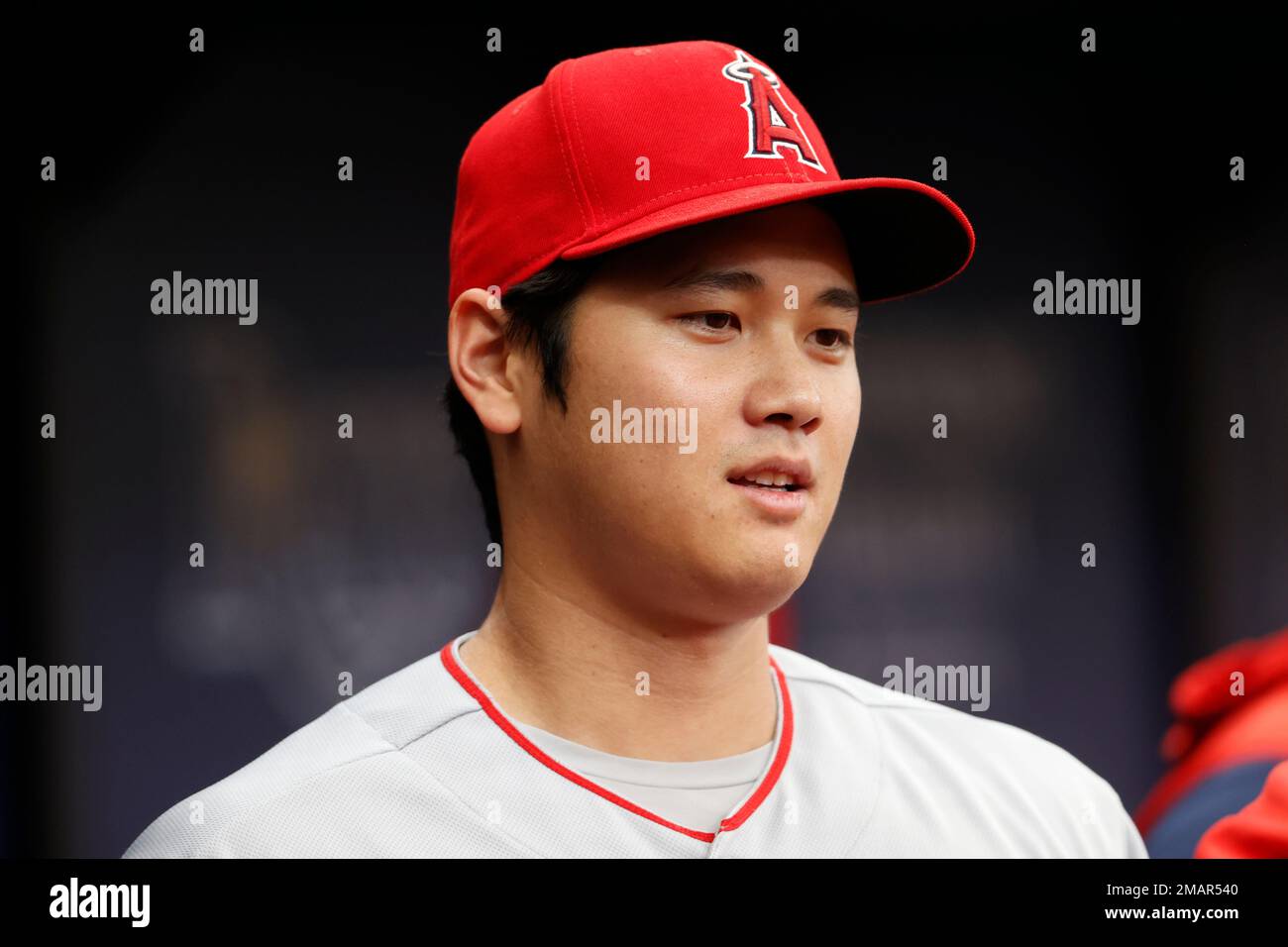 Los Angeles Angels' Shohei Ohtani stands in the dugout before a ...