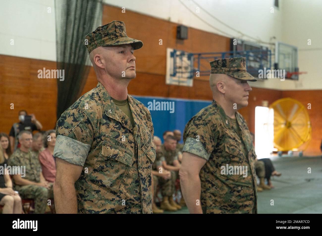 Regimental colors hi-res stock photography and images - Alamy