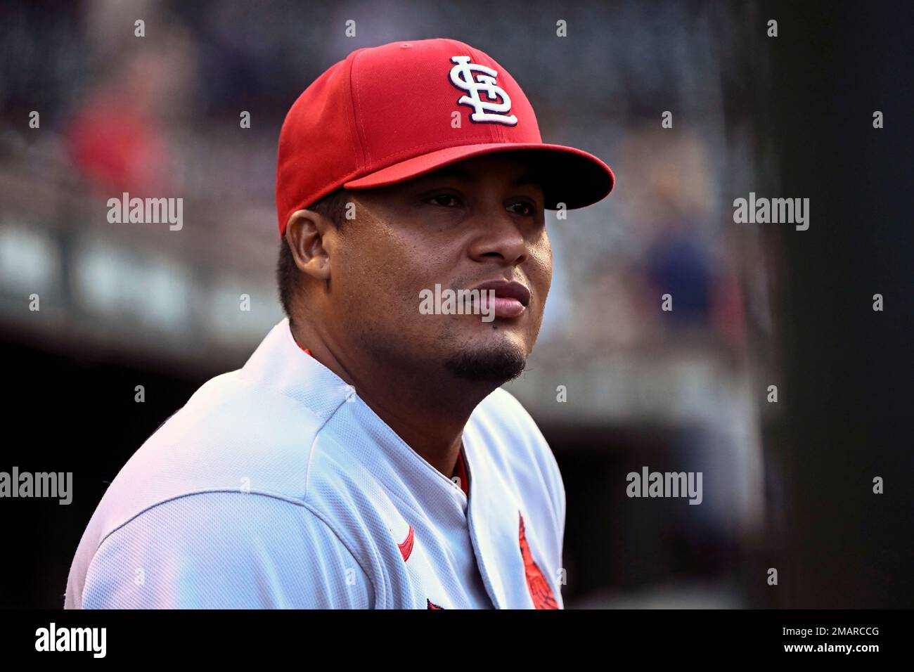 St. Louis Cardinals bullpen catcher Kleininger Teran (76) looks on from ...