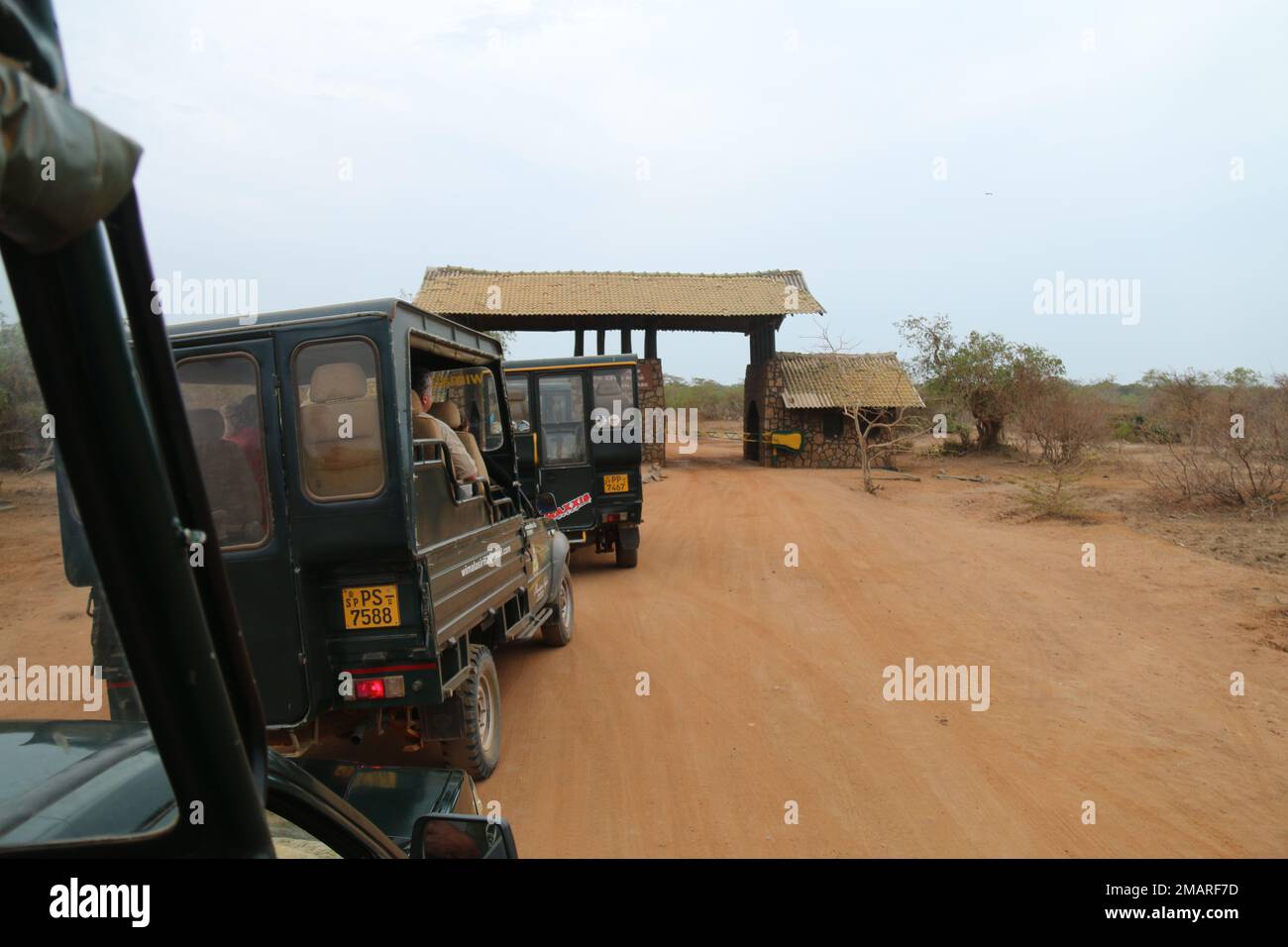 Elephant Reach Hotel in Yala, Sri Lanka Stock Photo - Alamy