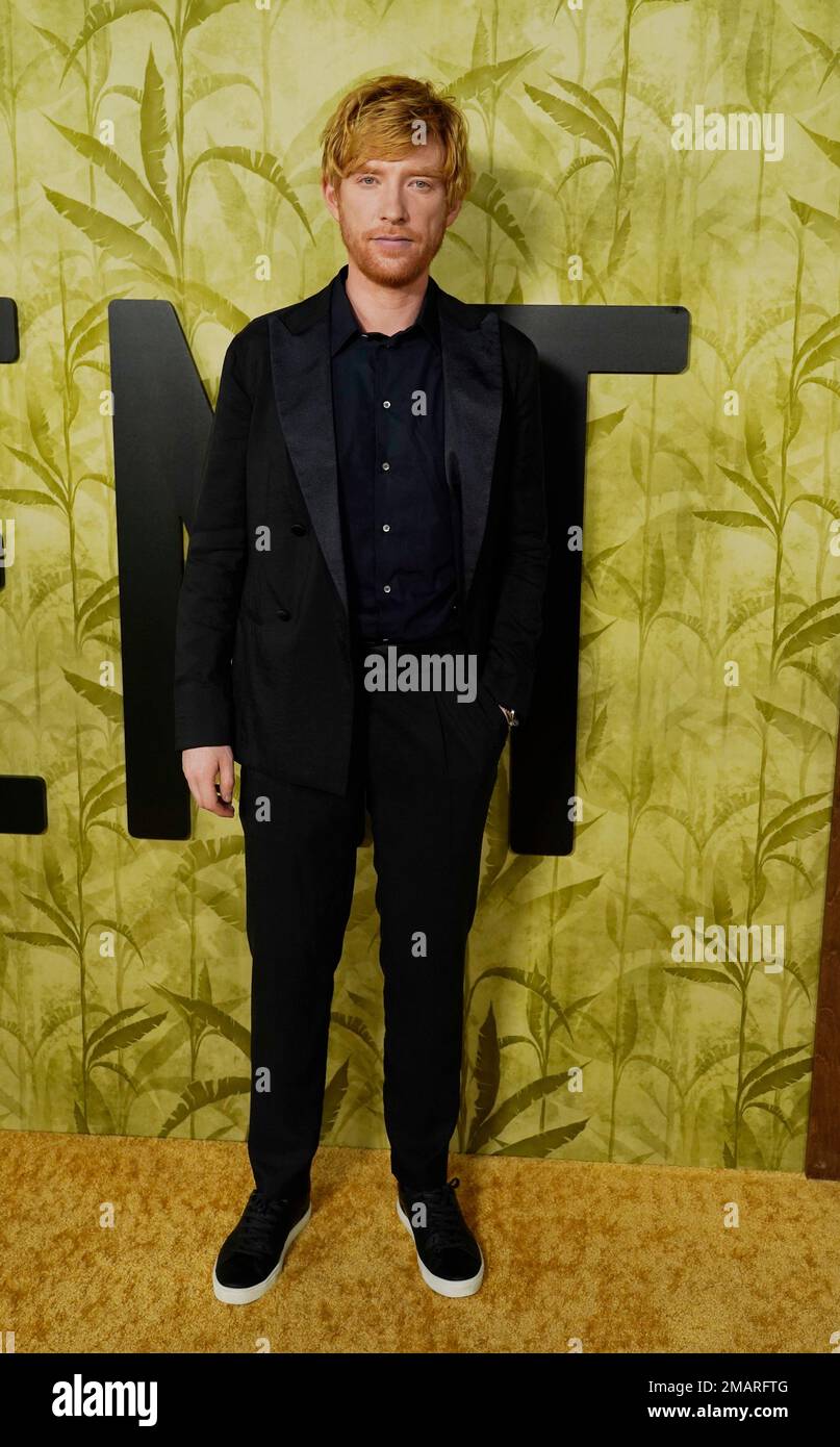 Domhnall Gleeson poses at the premiere of the FX miniseries "The ...