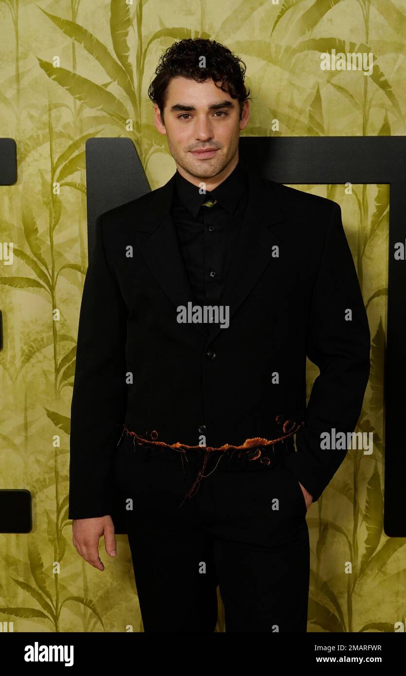 Alex Rich poses at the premiere of the FX miniseries "The Patient ...