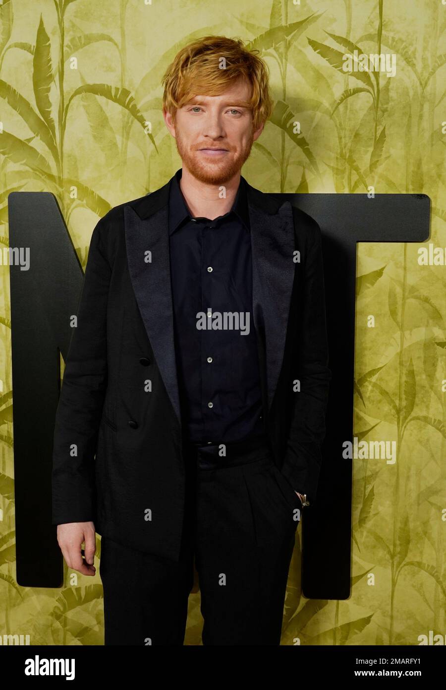 Domhnall Gleeson poses at the premiere of the FX miniseries "The ...