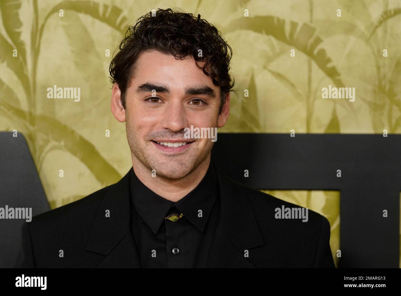 Alex Rich poses at the premiere of the FX miniseries "The Patient ...