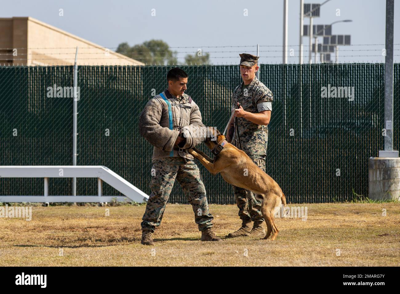 U.S. Marine Corps Cpl. Dawson Sparks, right, a military working dog ...