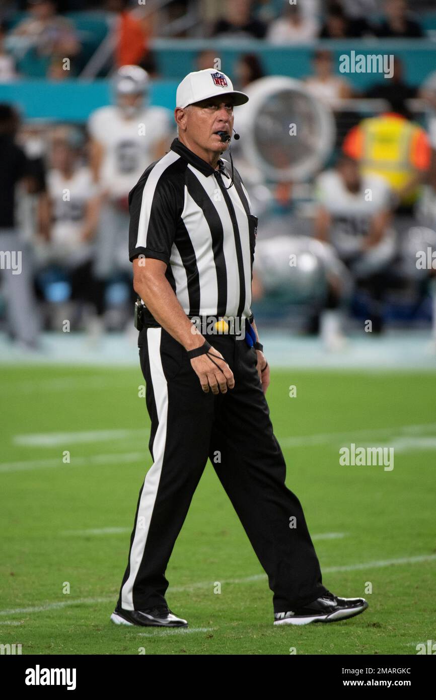 NFL Referee John Hussey blows his whistle on the field during an NFL ...