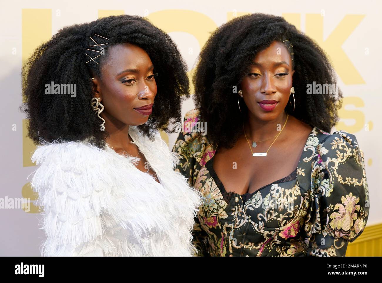 Adamma Ebo, left, and her sister Adanne, co-directors of "Honk for ...