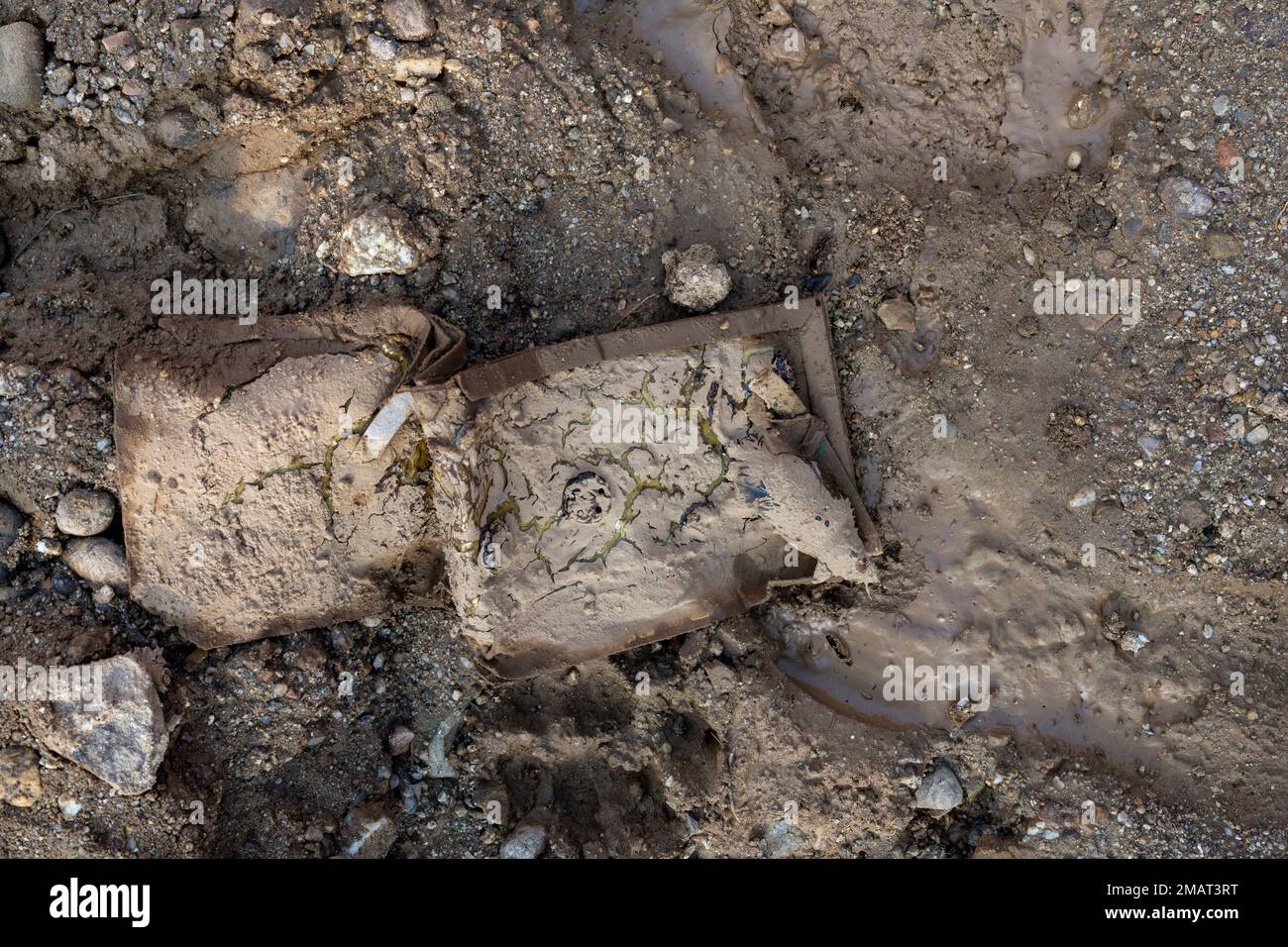 A dead mouse glued to a pad is covered in mud after a landslide caused ...