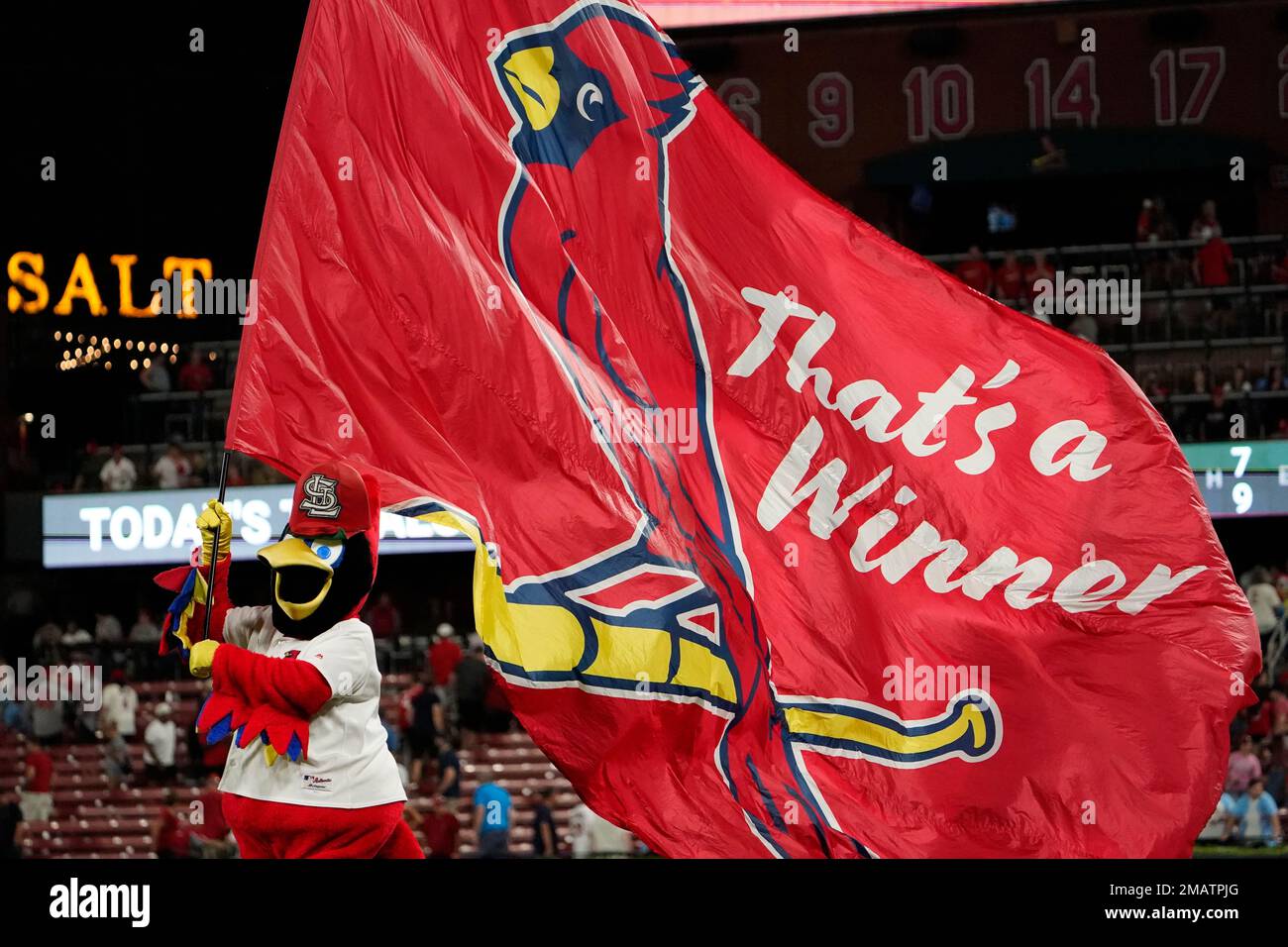 St. Louis Cardinals mascot Fredbird holds a flag celebrating a 5-1 ...