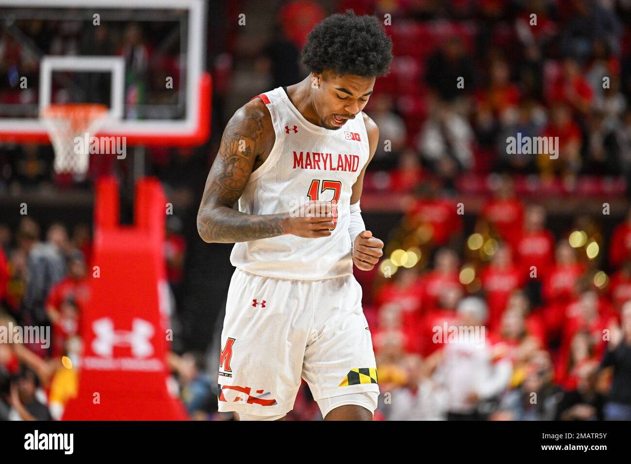 Hakim hart hi-res stock photography and images - Alamy