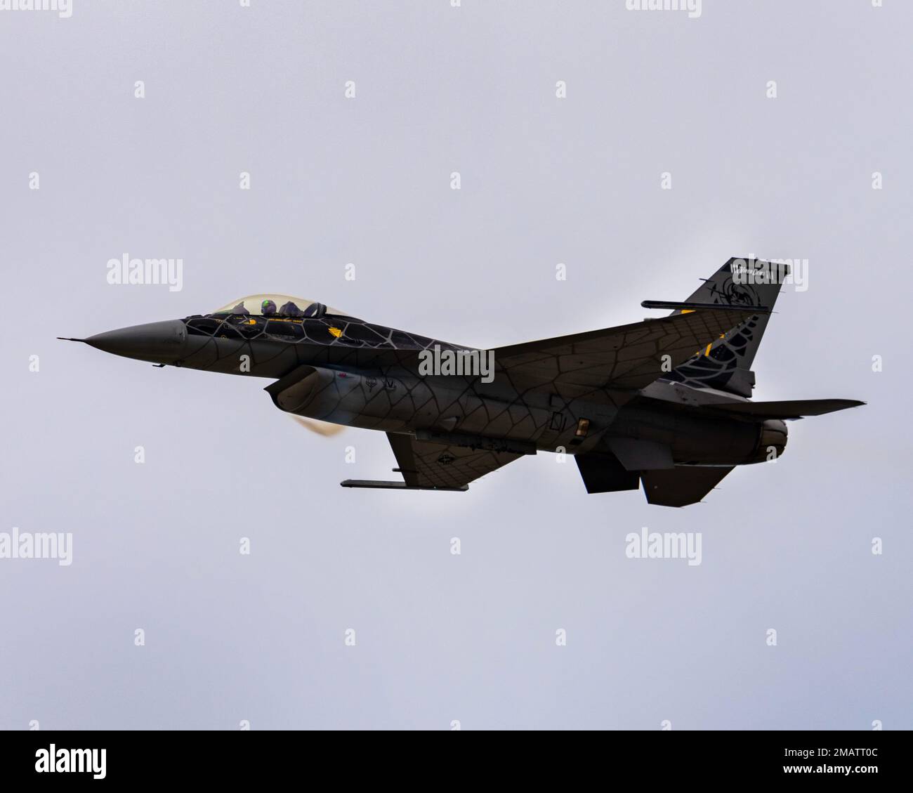 Aimee rebel fiedler hi-res stock photography and images - Alamy