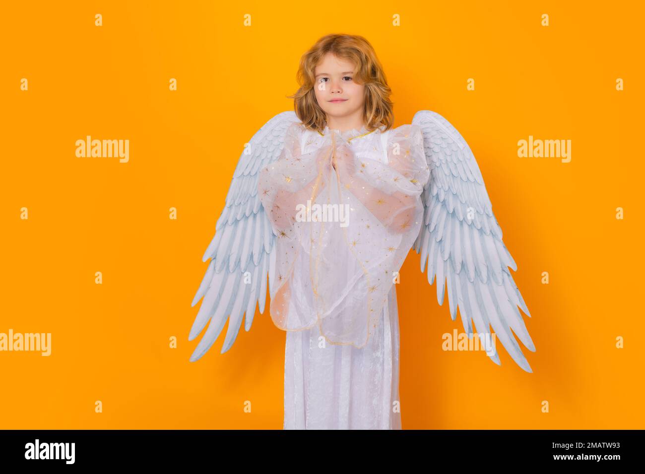Cute angel kid, studio portrait. Blonde curly little angel child with ...