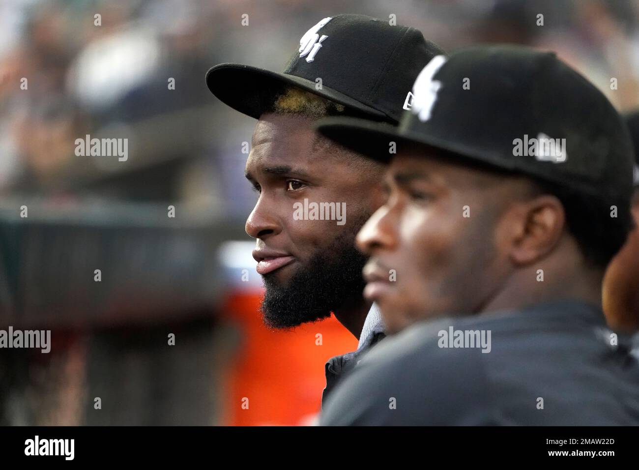 Chicago White Sox's Luis Robert looks out from the dugout during a ...