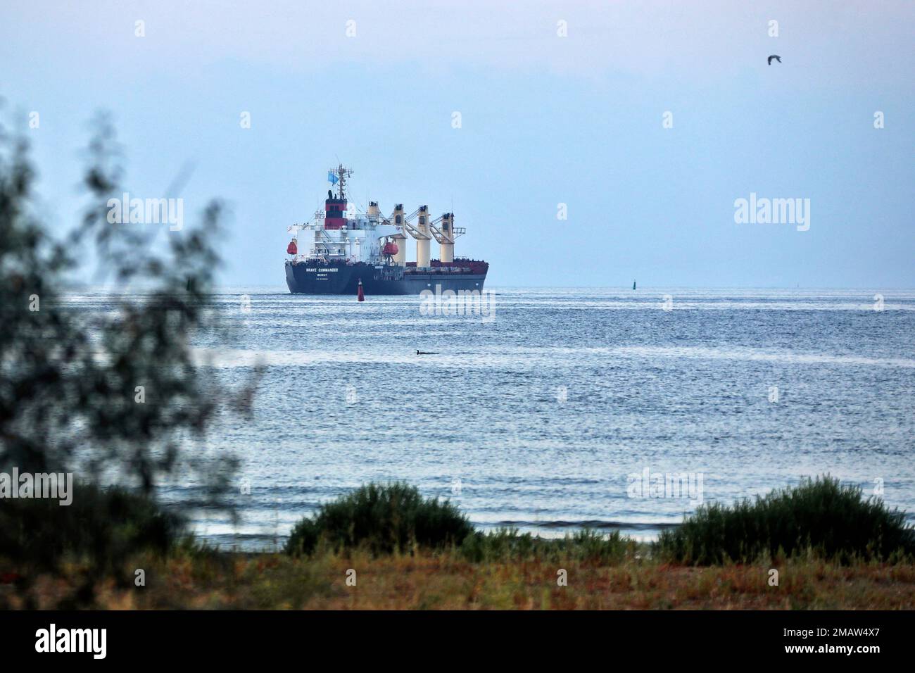 The Brave Commander bulk carrier makes its way from the Pivdennyi ...
