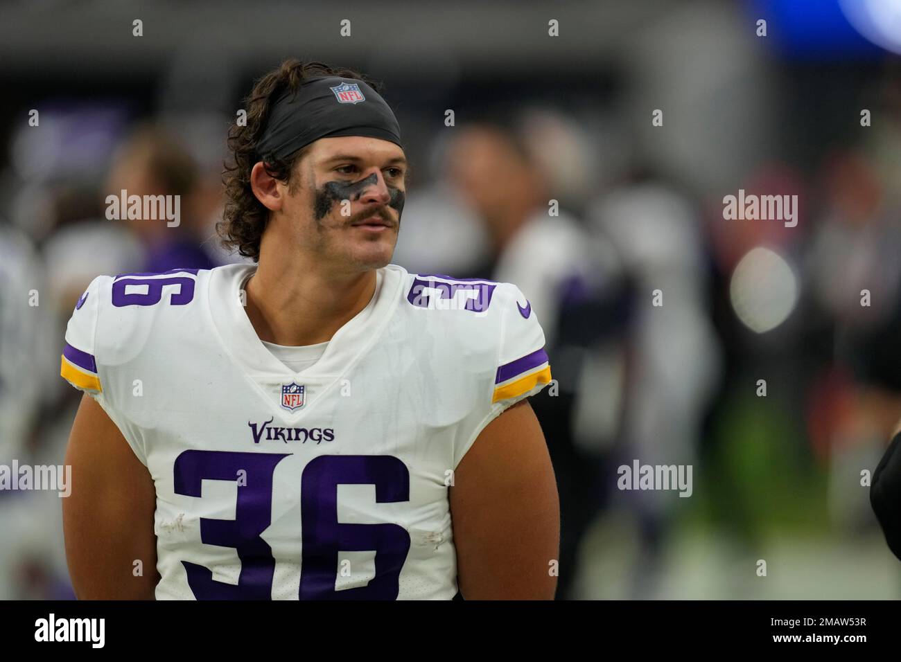 Minnesota Vikings fullback Jake Bargas (36) against the Las Vegas ...