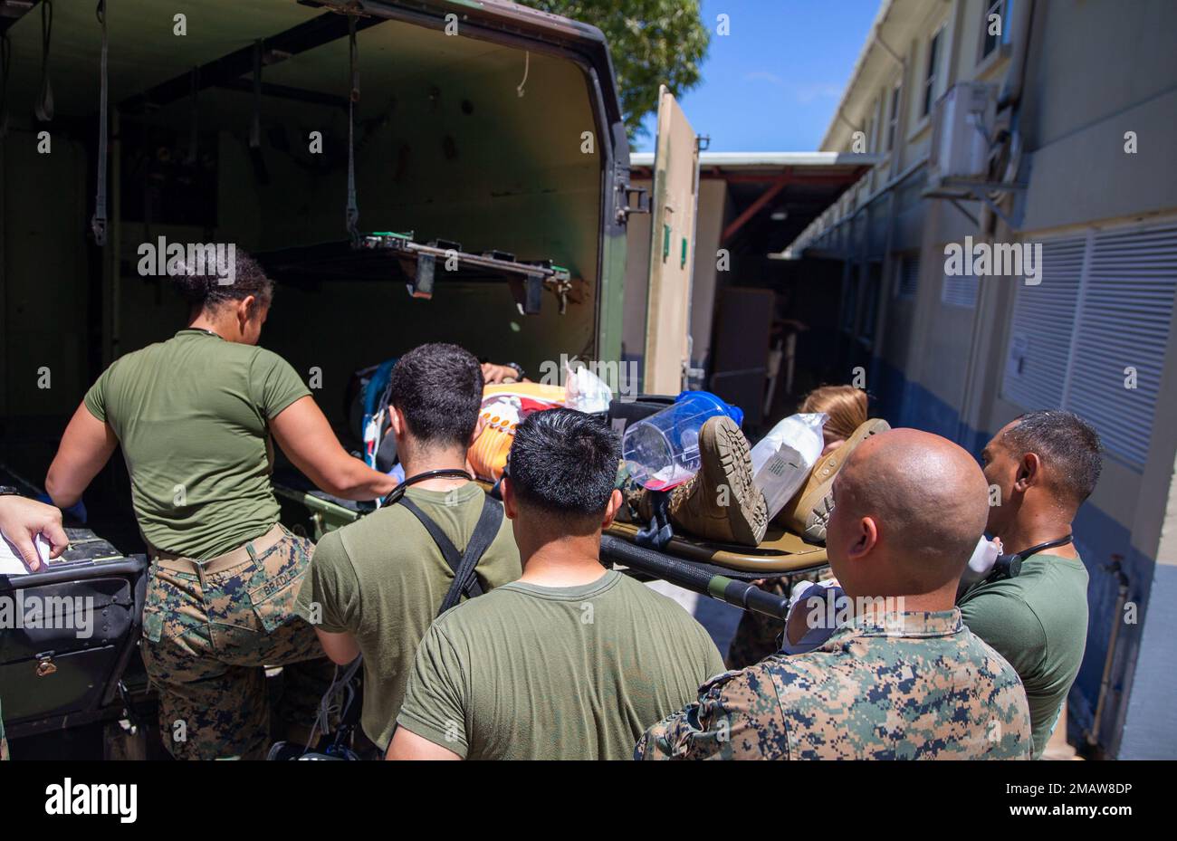 U.S. Sailors with Combat Logistics Battalion 15, Combat Logistics ...